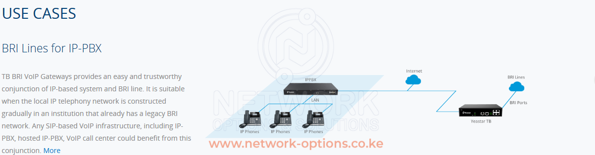 Yeastar TB200 BRI VoIP Gateway | Network Options & Solutions Ltd