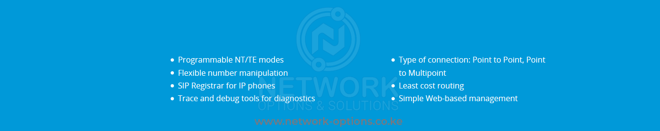 Yeastar TB200 BRI VoIP Gateway | Network Options & Solutions Ltd